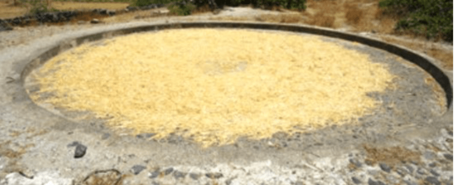 The Threshing Floor of God | Bereansearching Bible Studies